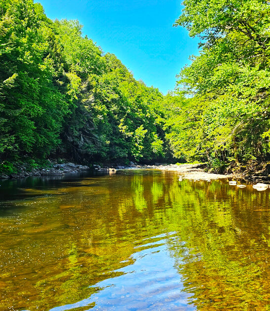 pennsylvania nature wildlife experience ftr