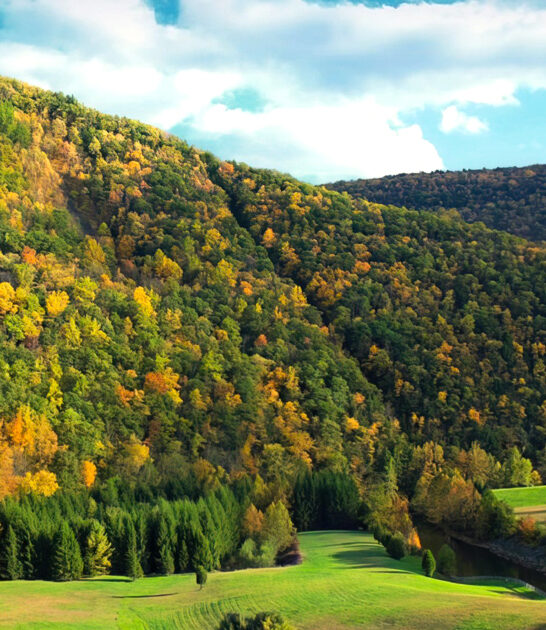 pennsylvania park state gorgeous ftr