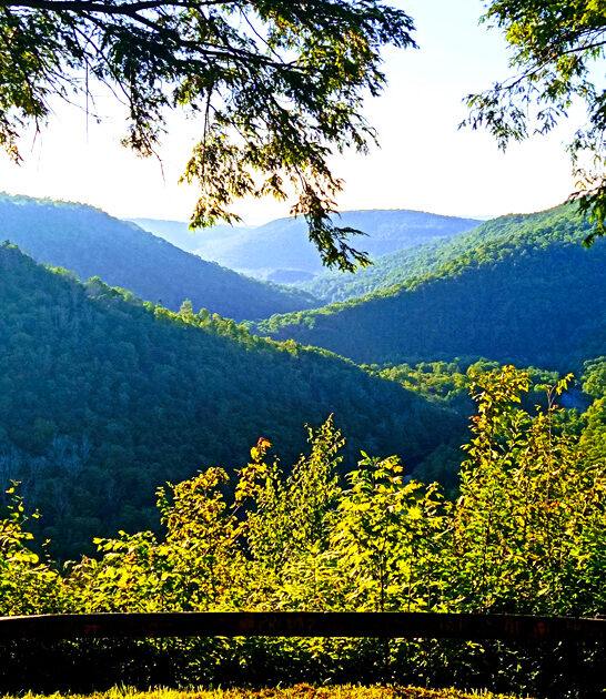 pennsylvania postcard state parks ftr