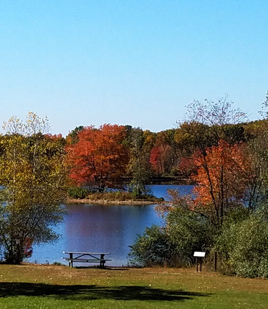 pennsylvania scenic nature park ftr