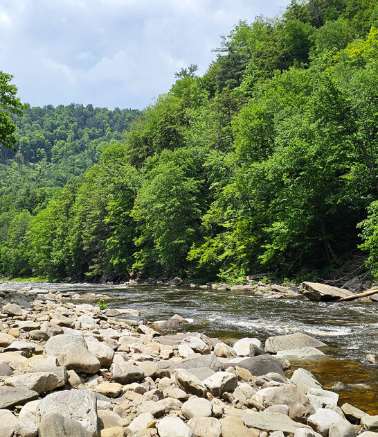 pennsylvania state parks dream ftr