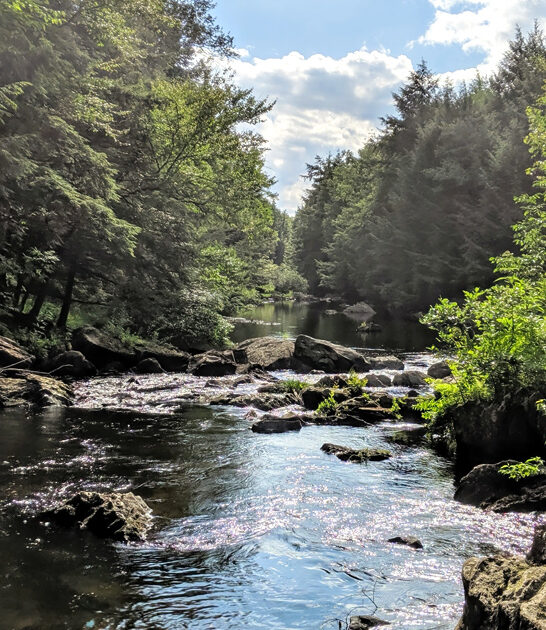 pennsylvania underrated nature park ftr