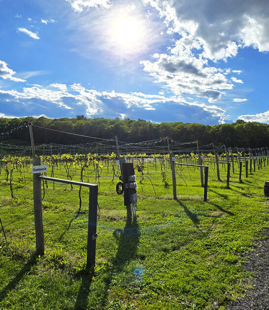 pennsylvania vineyard wine tours ftr