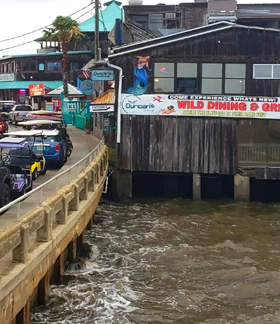 perfect adventure towns florida ftr