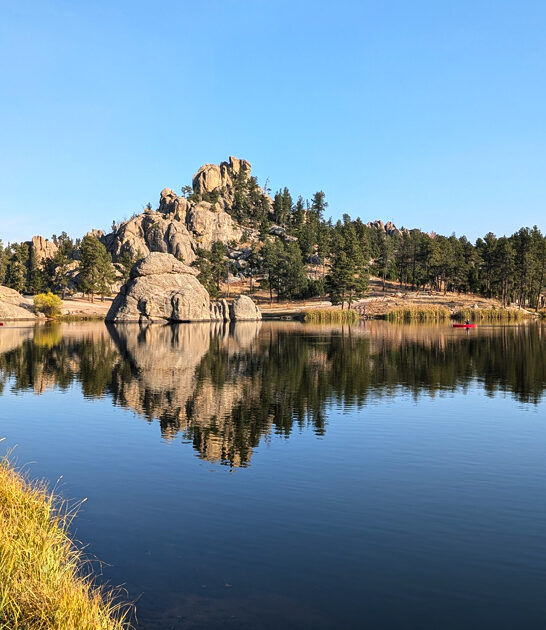 perfect forest south dakota ftr
