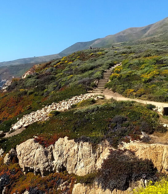 perfect park destinations california ftr