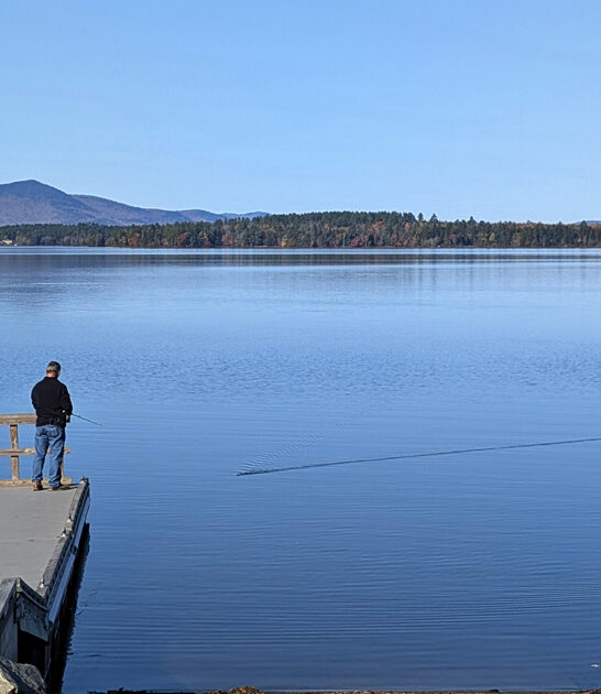 perfect park new hampshire ftr