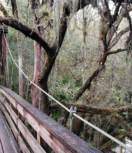 perfect peaceful florida park ftr