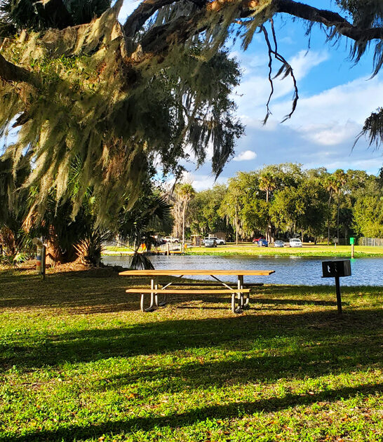 photo worthy park florida ftr