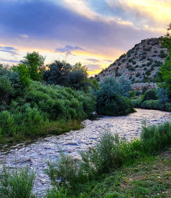 photogenic park new mexico ftr