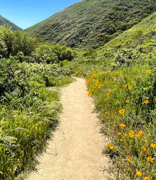 photogenic perfect parks california ftr