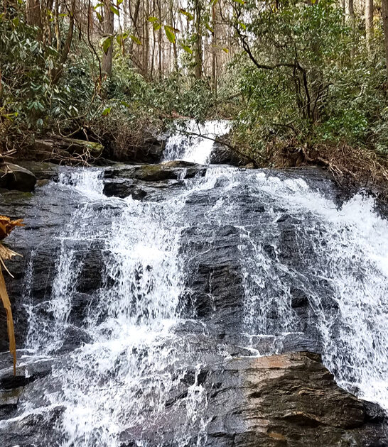 picture park georgia worth ftr