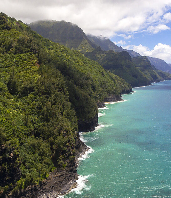 picture perfect hawaii park ftr