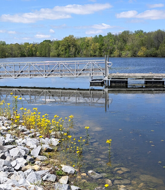 picture state park illinois ftr