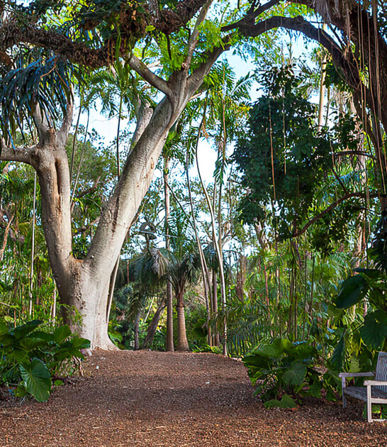 picturesque botanical florida heard ftr