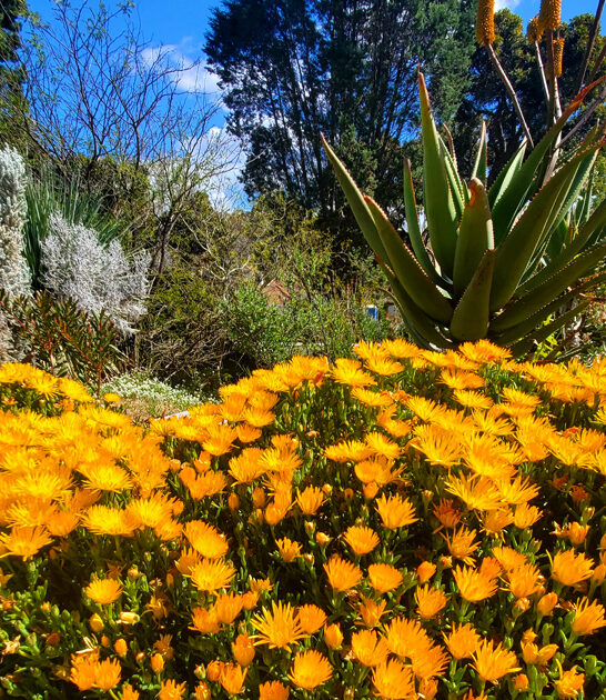 picturesque botanical garden california ftr