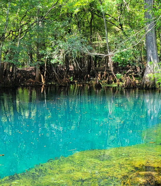 picturesque florida park escape ftr