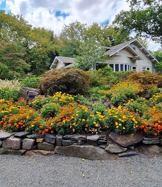 picturesque garden new jersey ftr