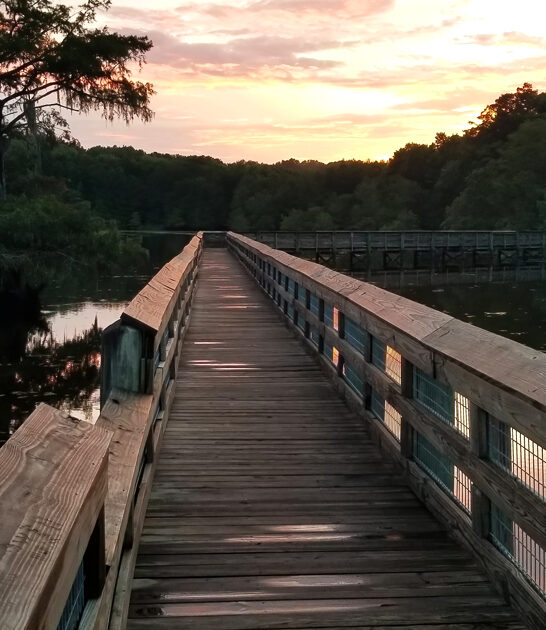 picturesque louisiana park escape ftr