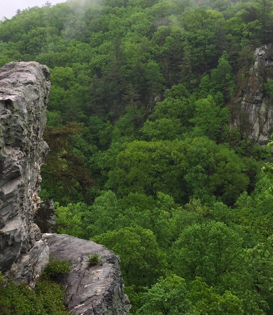 picturesque maryland state park ftr