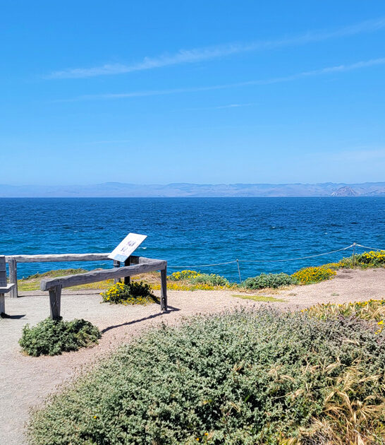 picturesque park california all ftr