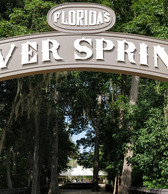 picturesque park florida escape ftr