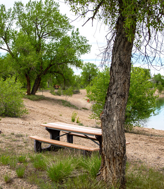 picturesque park state wyoming ftr