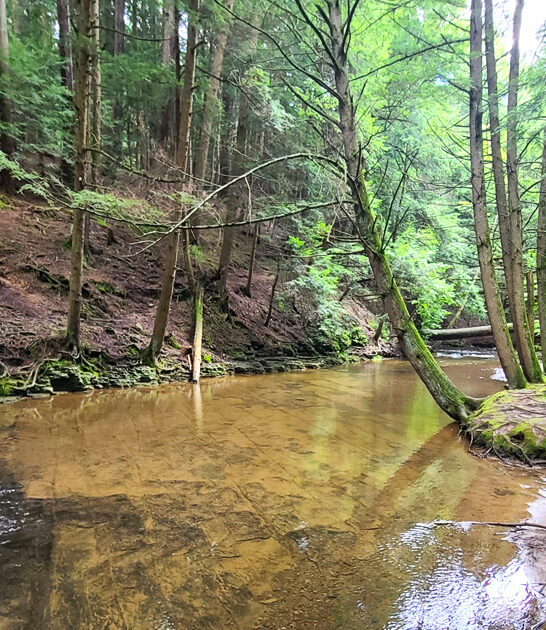 picturesque pennsylvania park state ftr