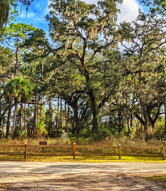 picturesque state florida park ftr