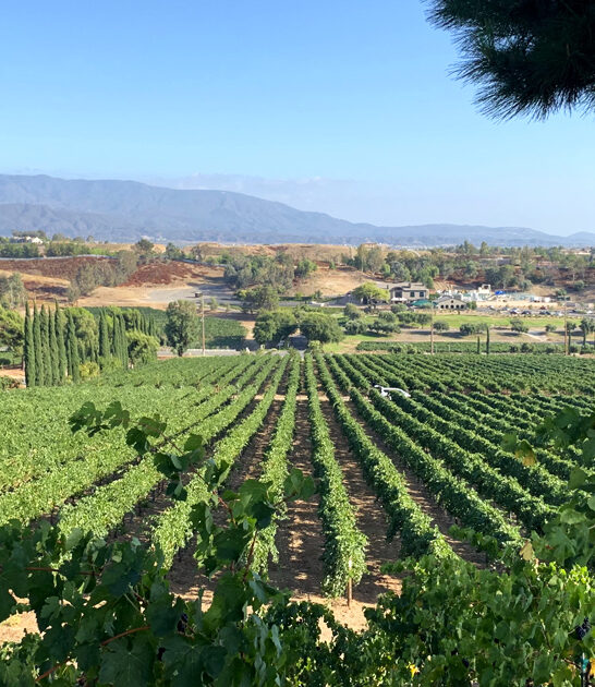 picturesque winery california drive FTR