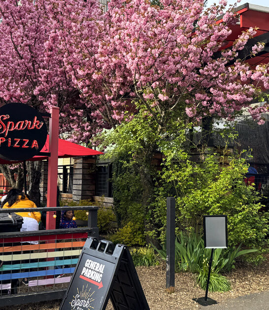 pizza joints washington hidden ftr