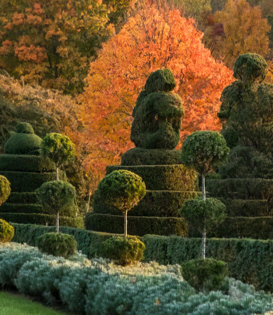 postcard botanical garden maryland FTR