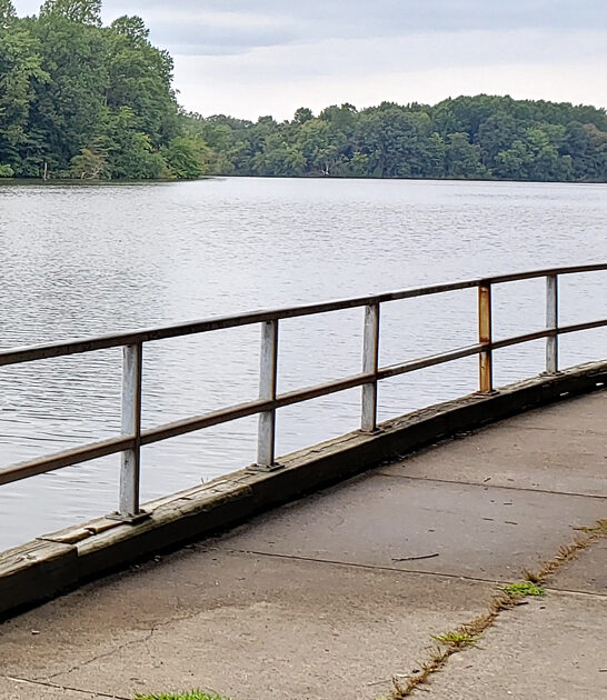 postcard delaware state parks ftr