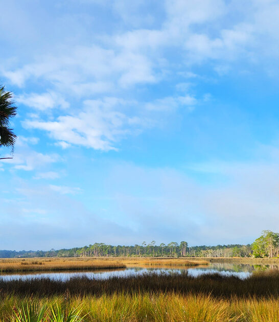 postcard florida park worthy ftr