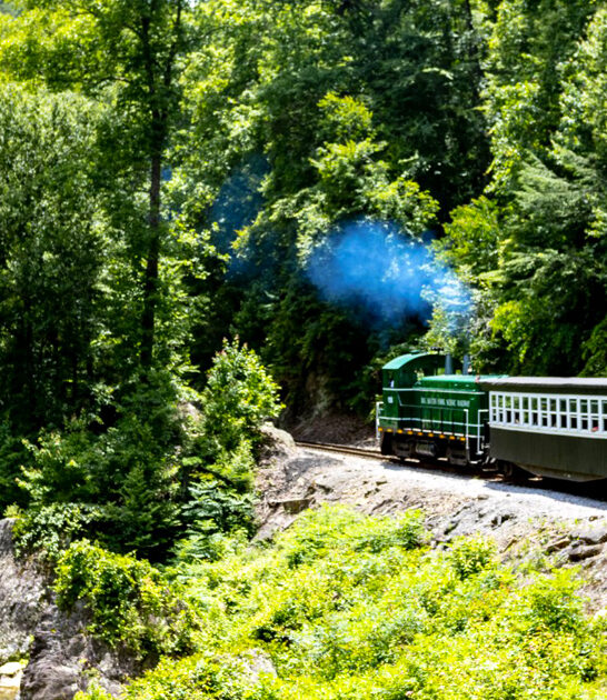 postcard kentucky train ride ftr