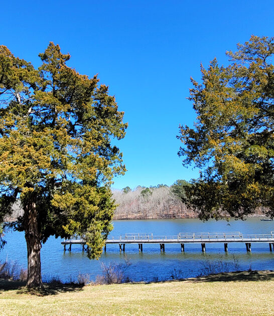 postcard mississippi perfect state ftr