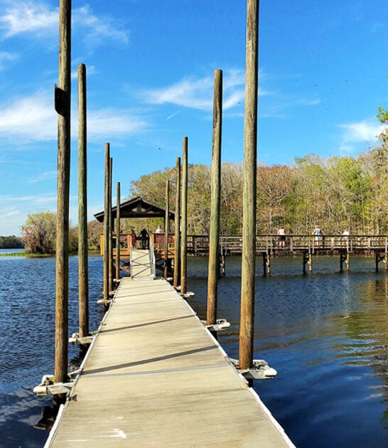 postcard nature park florida ftr