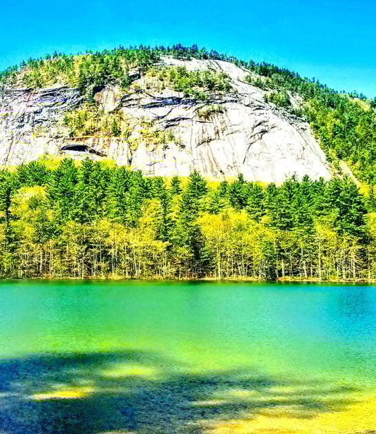 postcard new hampshire park ftr