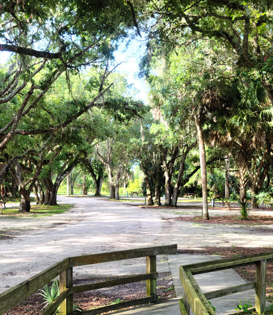 postcard park florida nature FTR