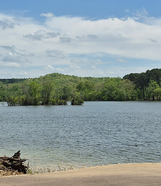 postcard park tennessee dream FTR