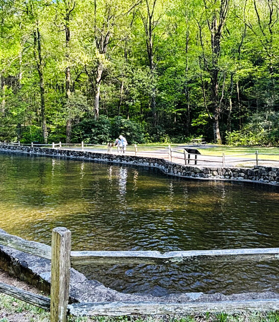 postcard parks south carolina ftr