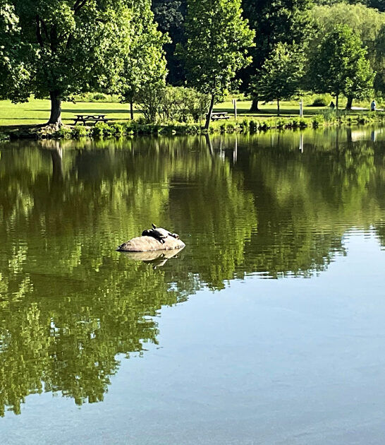 postcard state parks delaware ftr