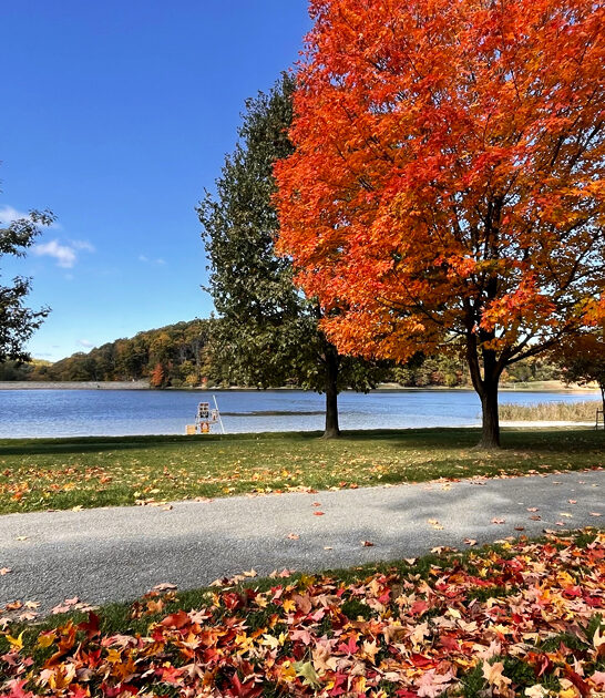 postcard worthy parks maryland ftr