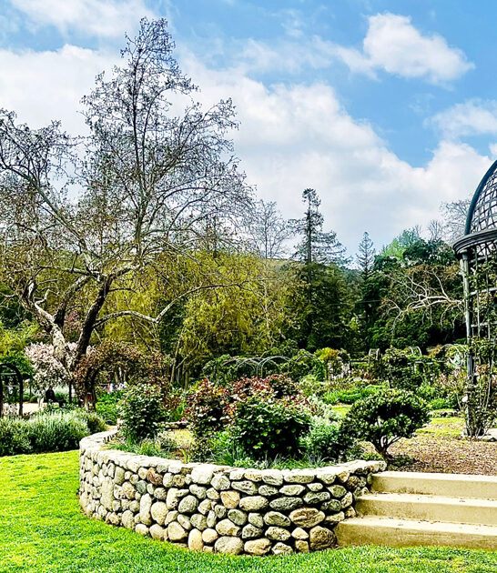 prettiest botanical garden california ftr