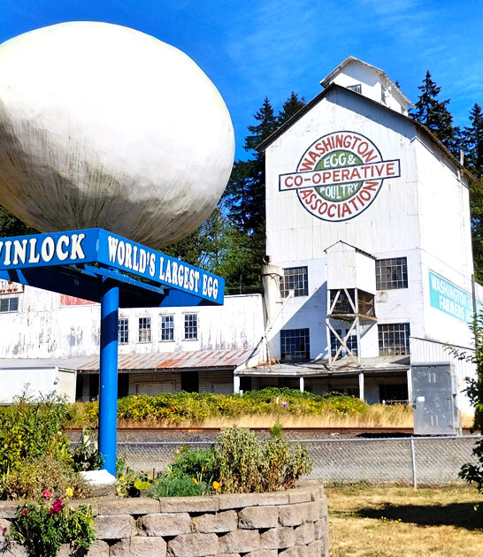 quirky roadside attraction washington ftr