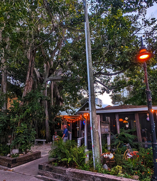 quirky seafood florida joint ftr