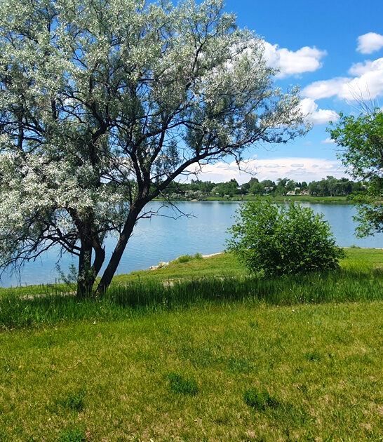 relaxed weekend montana park ftr