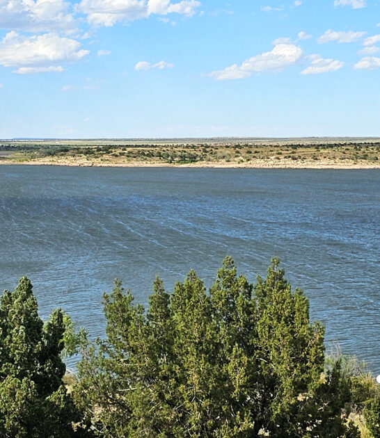relaxing park new mexico ftr