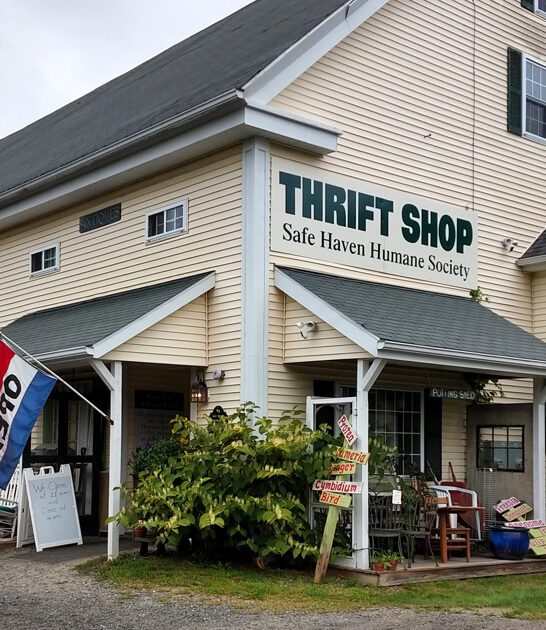 resale maine enormous bargain ftr