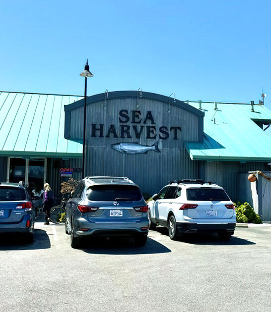 restaurant california seafood tacos ftr